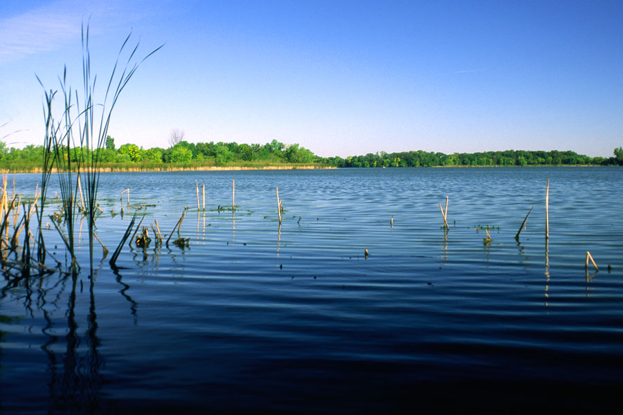 Greenleaf Lake SRA – Parks & Trails Council of Minnesota