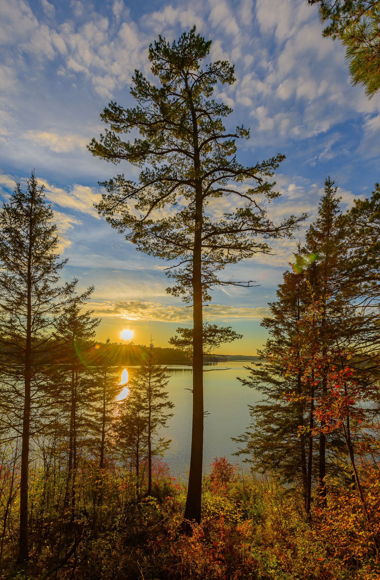 Itasca State Park – Parks & Trails Council of Minnesota