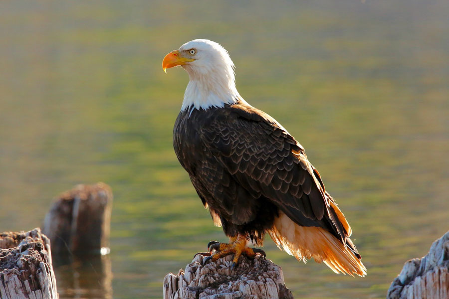 Split Rock Lighthouse State Park – Parks & Trails Council of Minnesota
