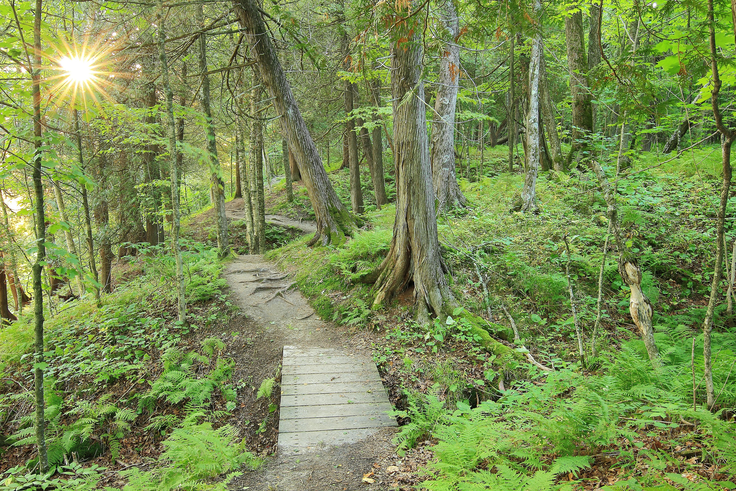 Jay Cooke State Park – Parks & Trails Council of Minnesota