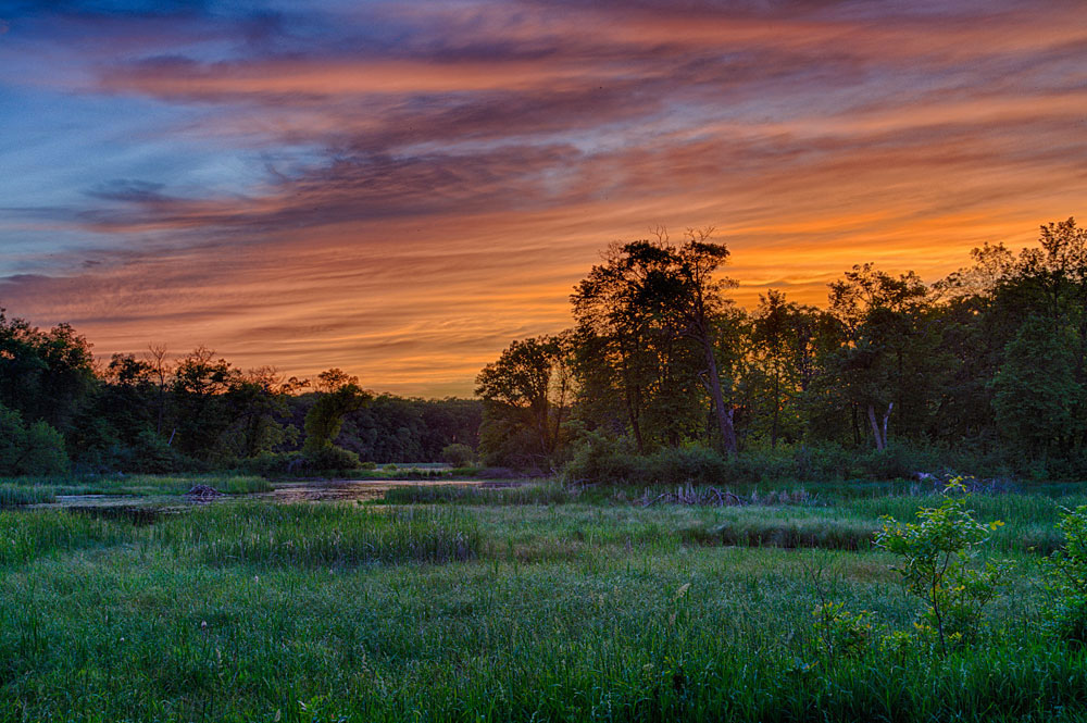 Lake Maria State Park – Parks & Trails Council of Minnesota