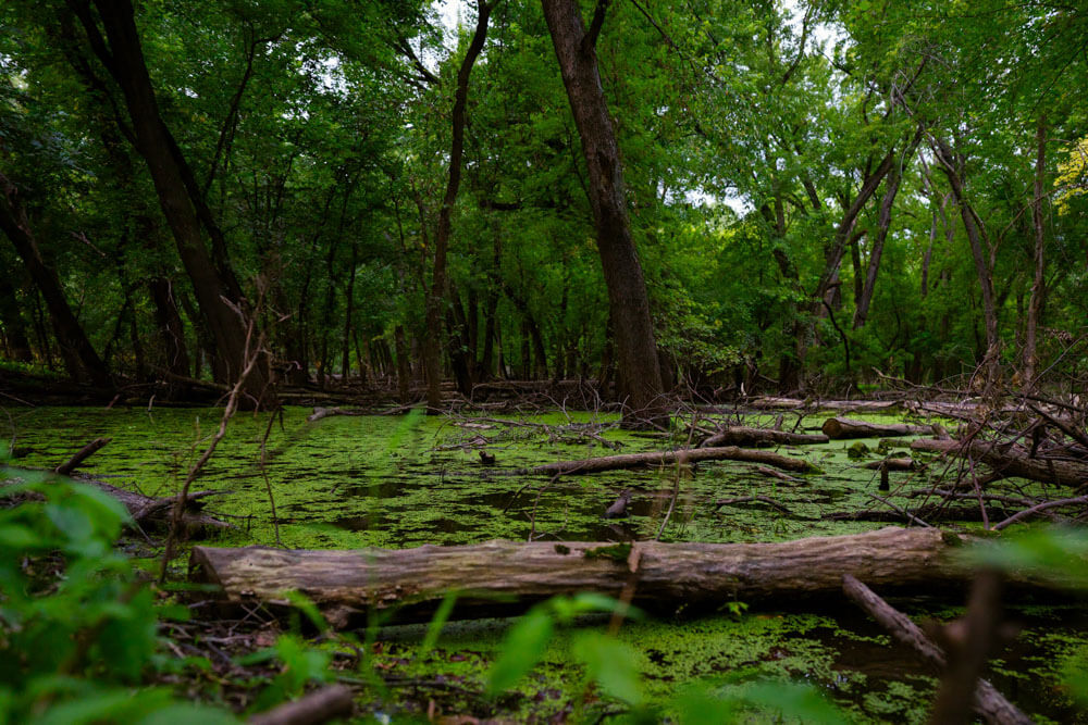 Fort Snelling State Park – Parks & Trails Council of Minnesota