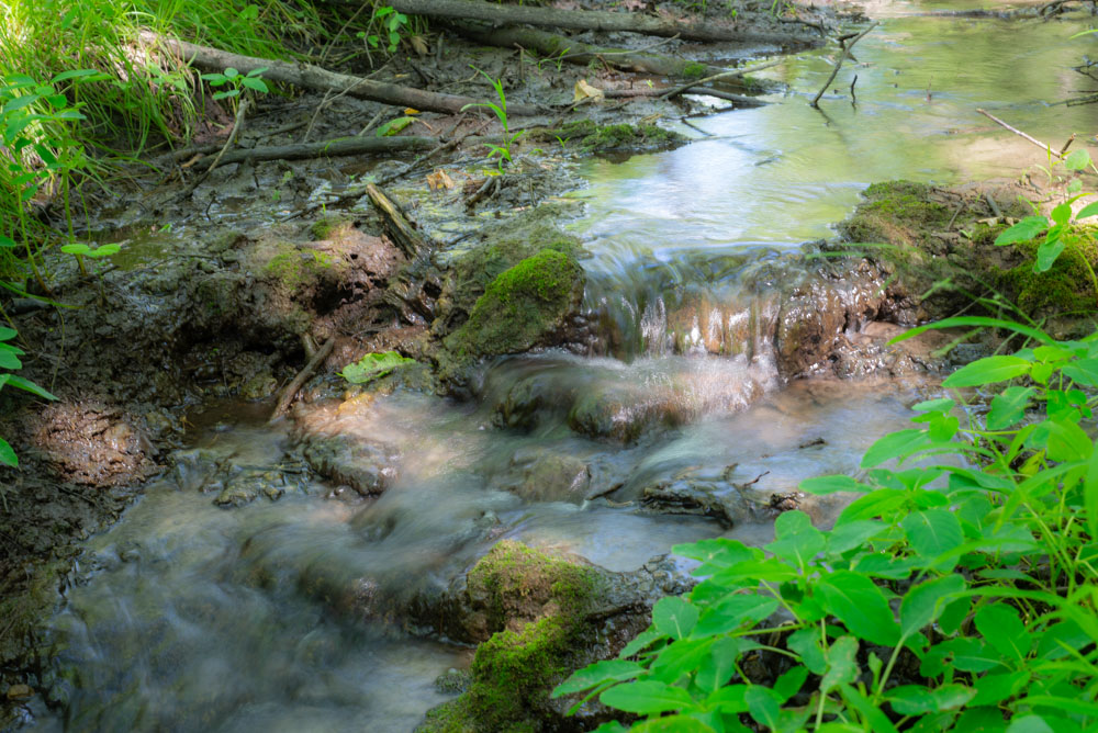 Big Stone Lake State Park – Parks & Trails Council of Minnesota