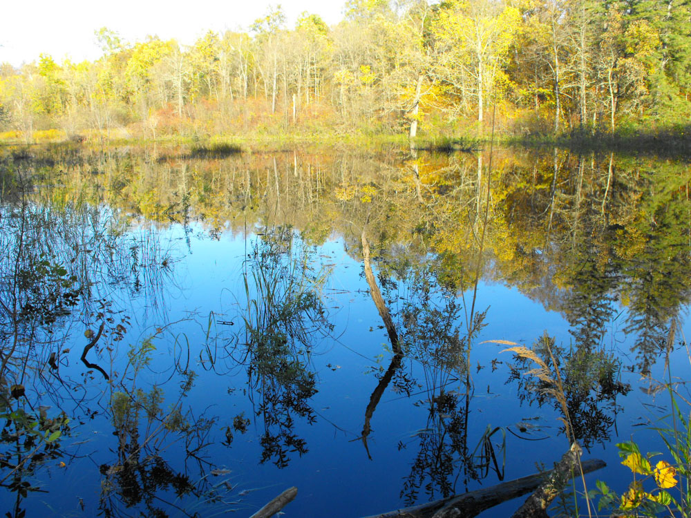 St. Croix State Park – Parks & Trails Council of Minnesota